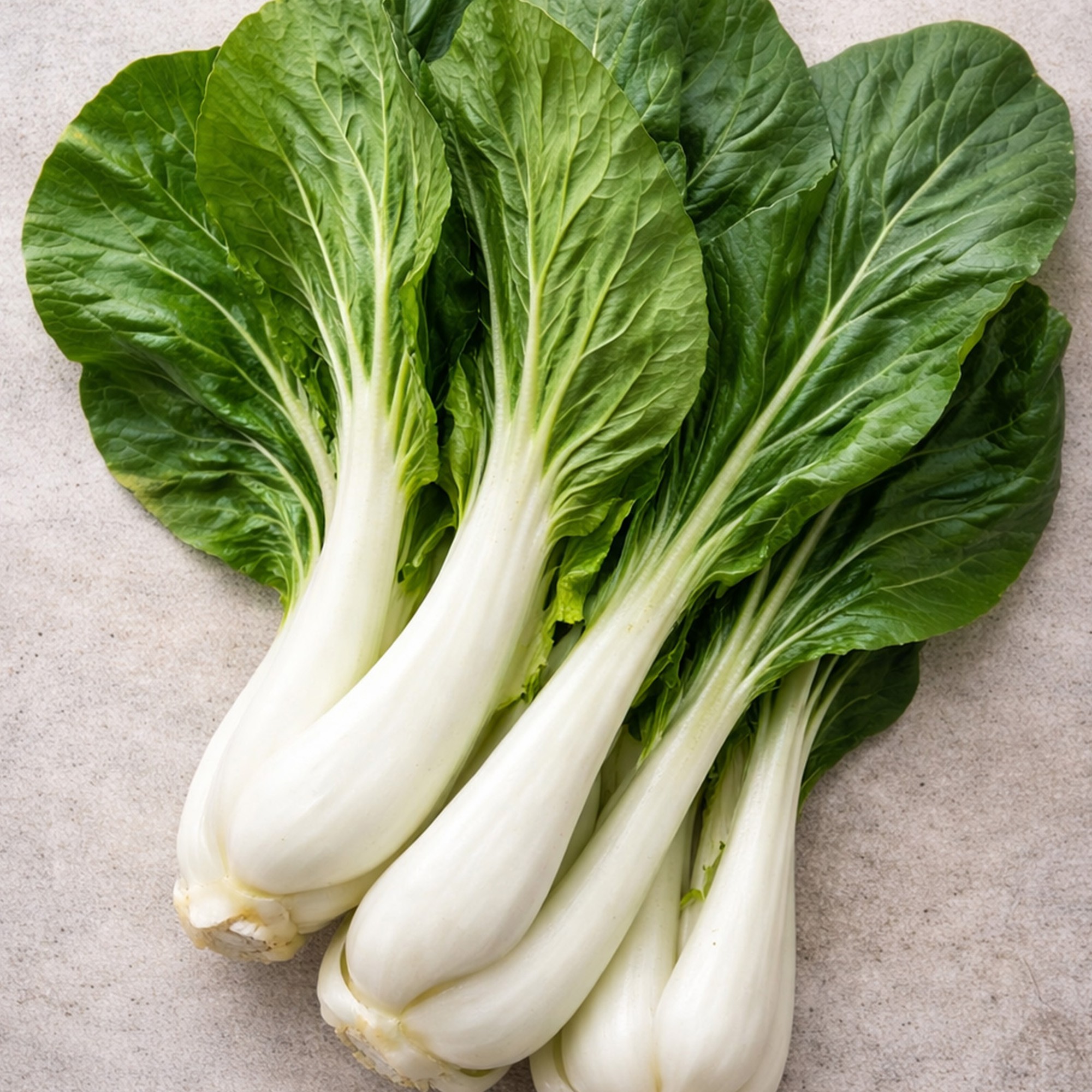 Pak Choi White Stem 1g Seeds | Crisp Oriental Greens UK