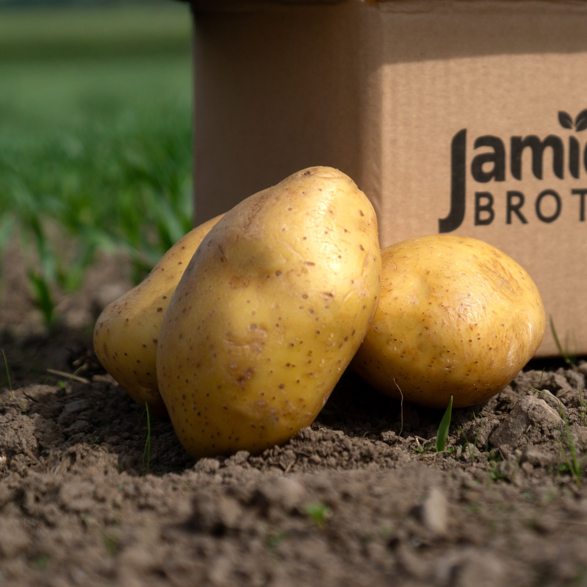 Melody Eating Potatoes | Bake, Boil, Chip, Mash & Roast