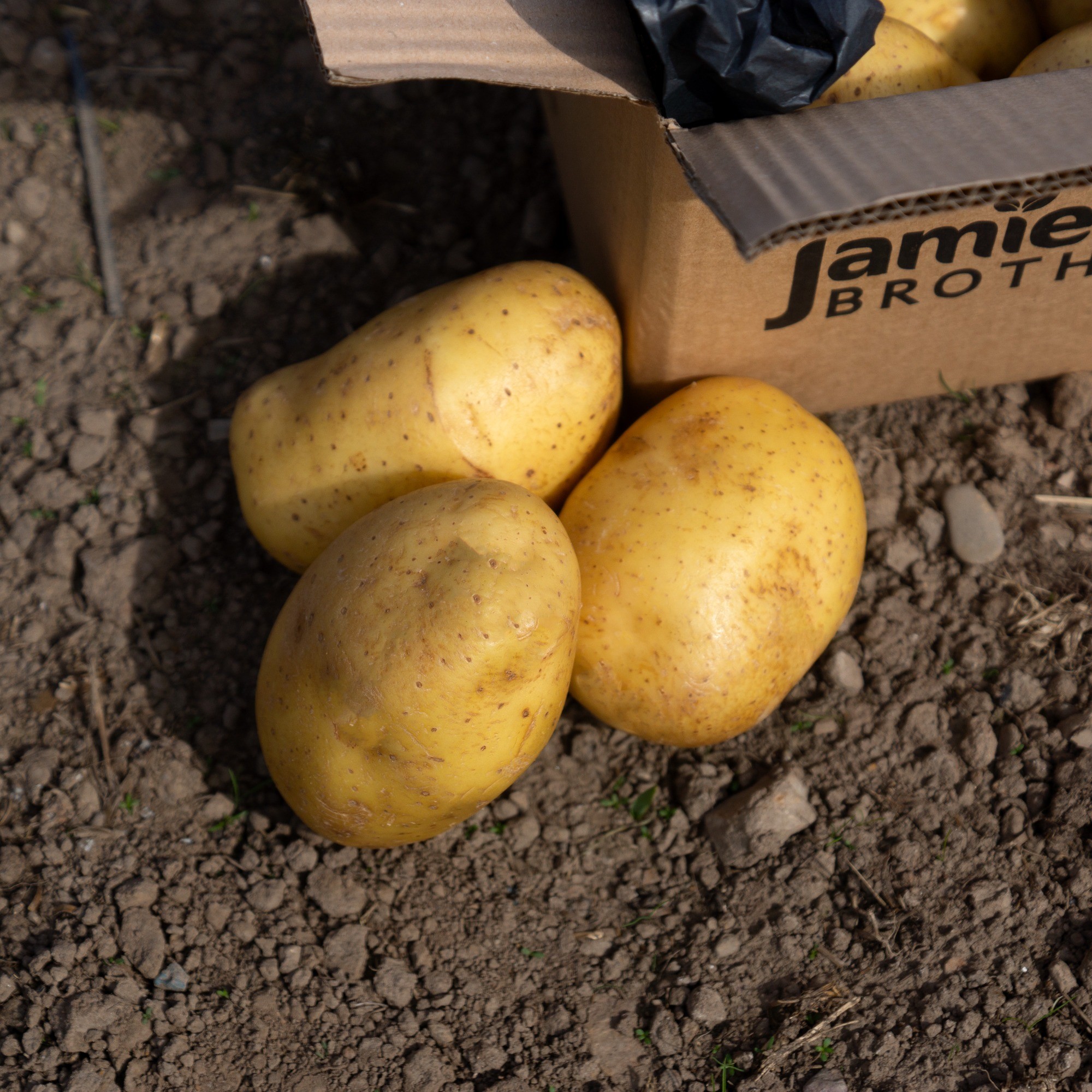 Melody Eating Potatoes | Bake, Boil, Chip, Mash & Roast