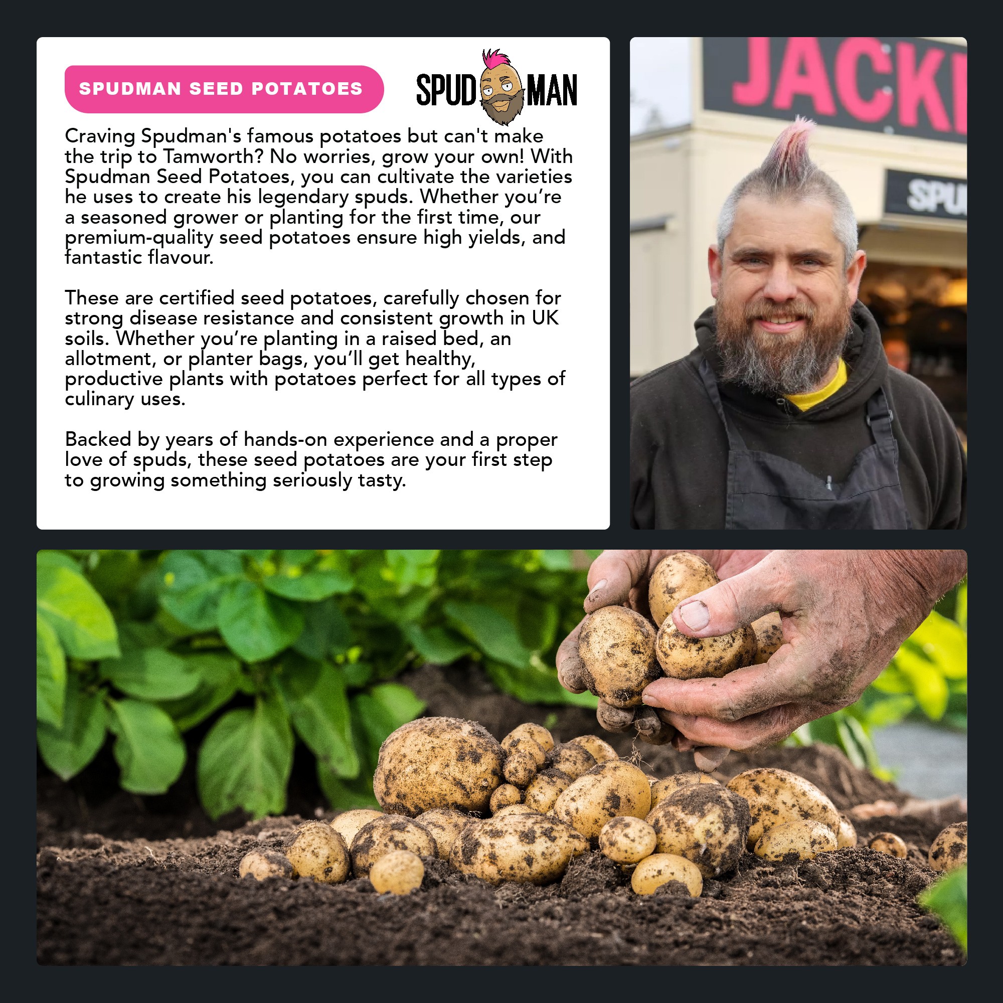 SpudMan Maris Piper Seed Potatoes | Grow 30 Chipping Potatoes