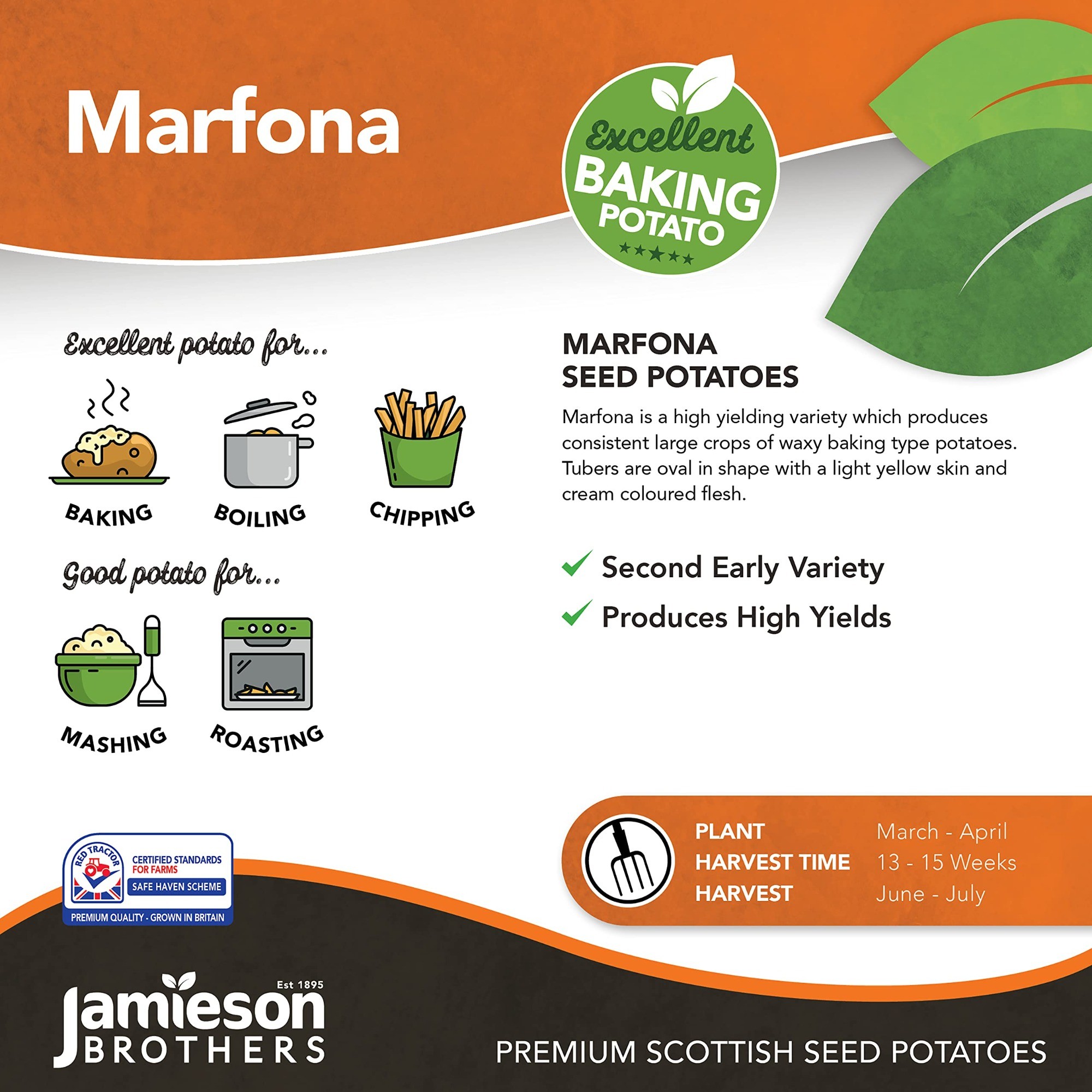 Marfona Seed Potatoes