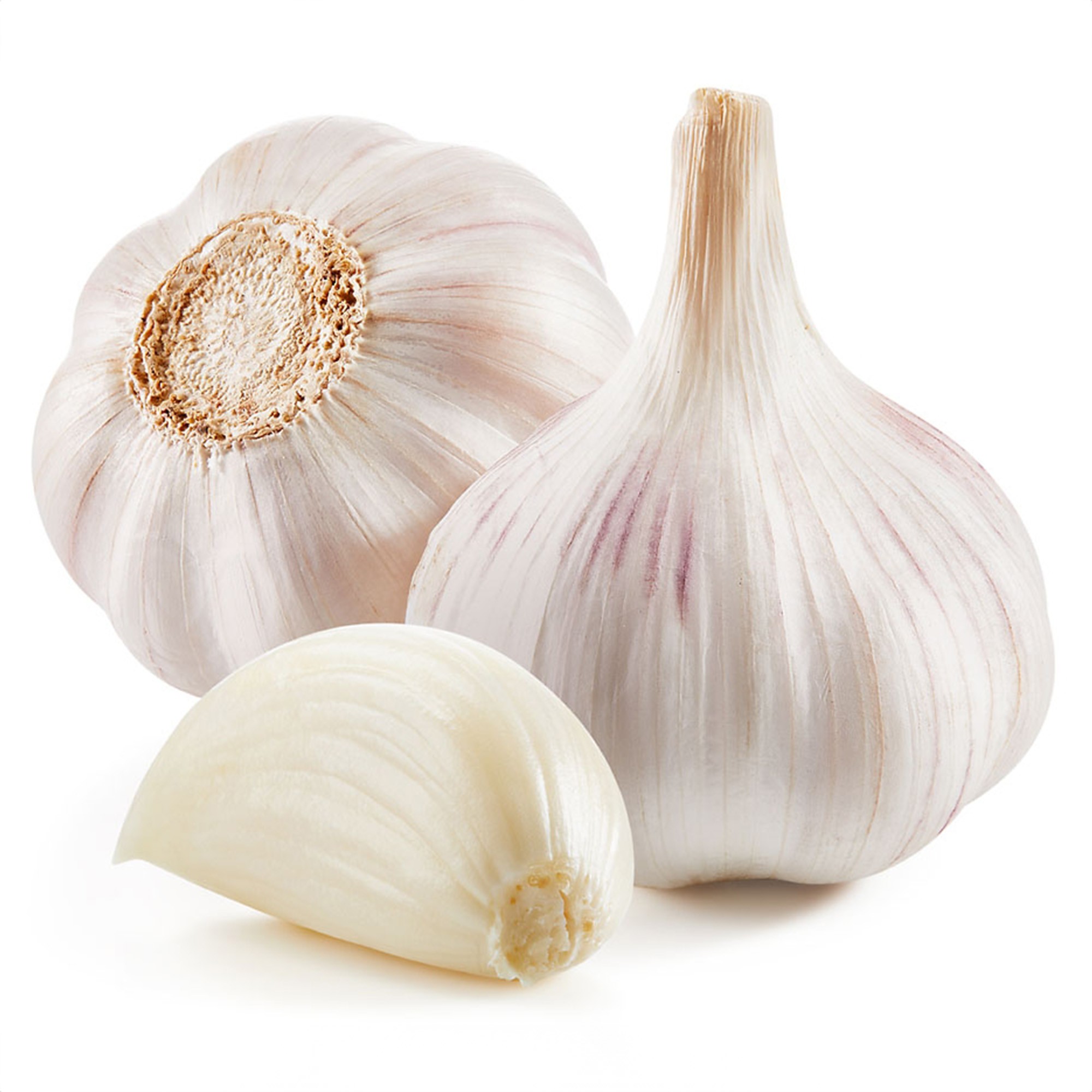 Garlic Pink (Allium Sativum) 3x Spring Planting Garlic Bulbs| Bulbs for ...