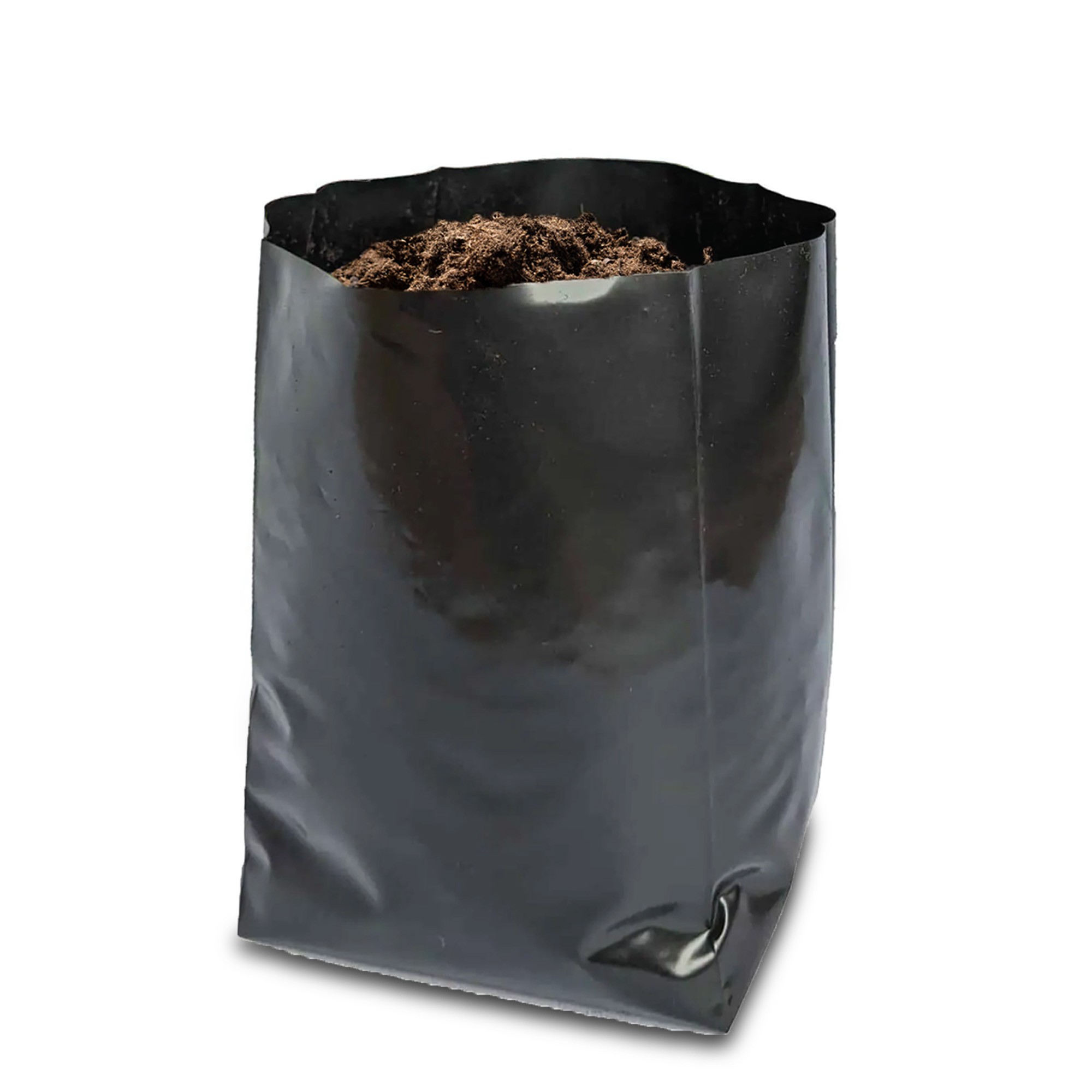 SpudMan Maris Piper Potatoes + Polypots & Compost Grow Kit