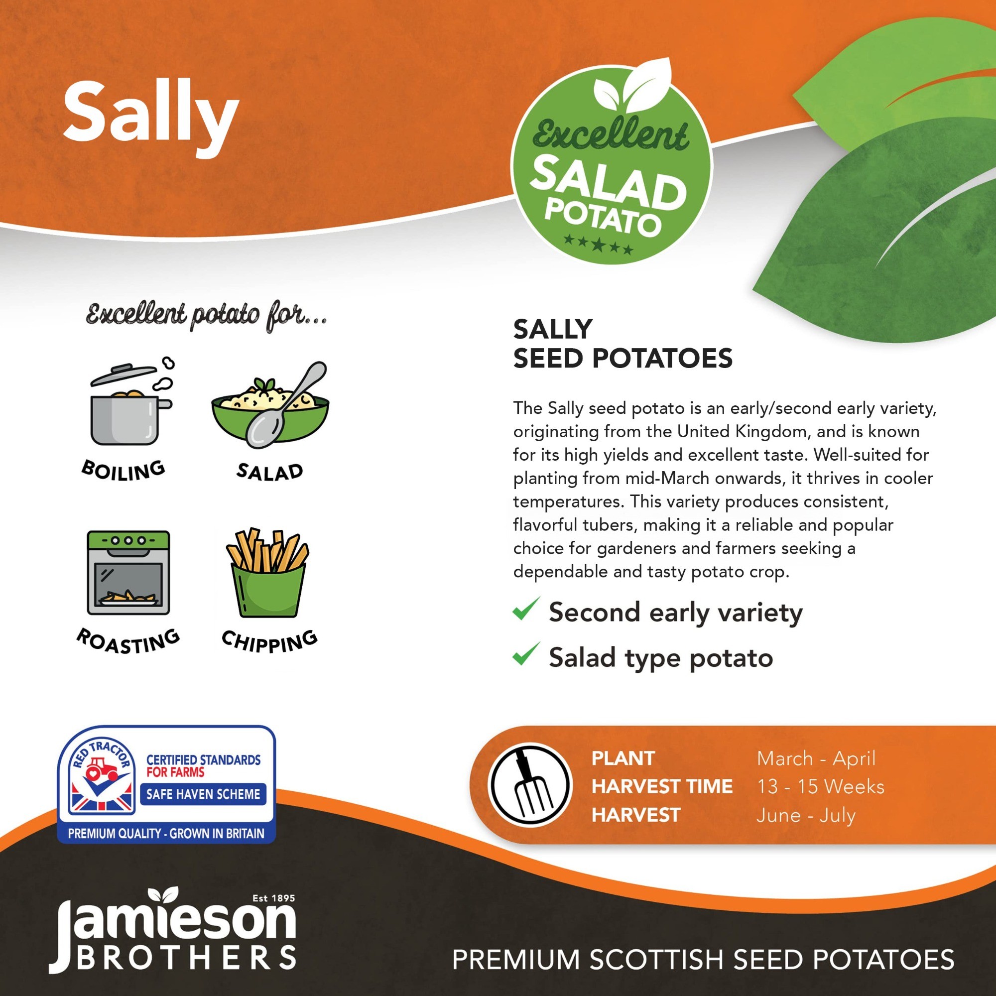 Sally Seed Potato 2kg