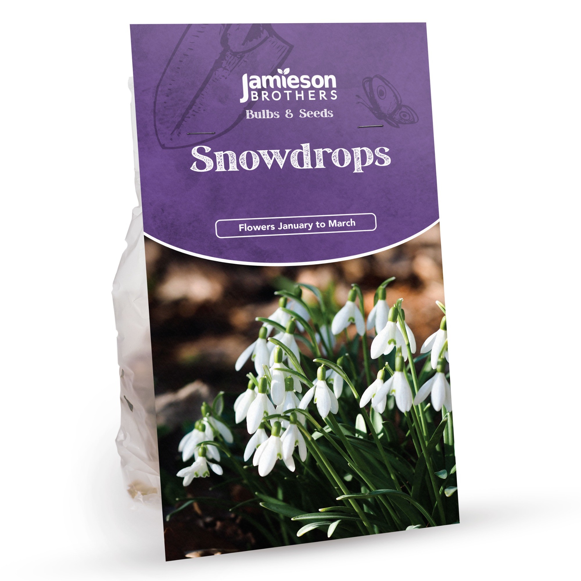 Super Spring Flowering Bulbs (Approx. 355 Bulbs ) Mix by Jamieson Brothers®