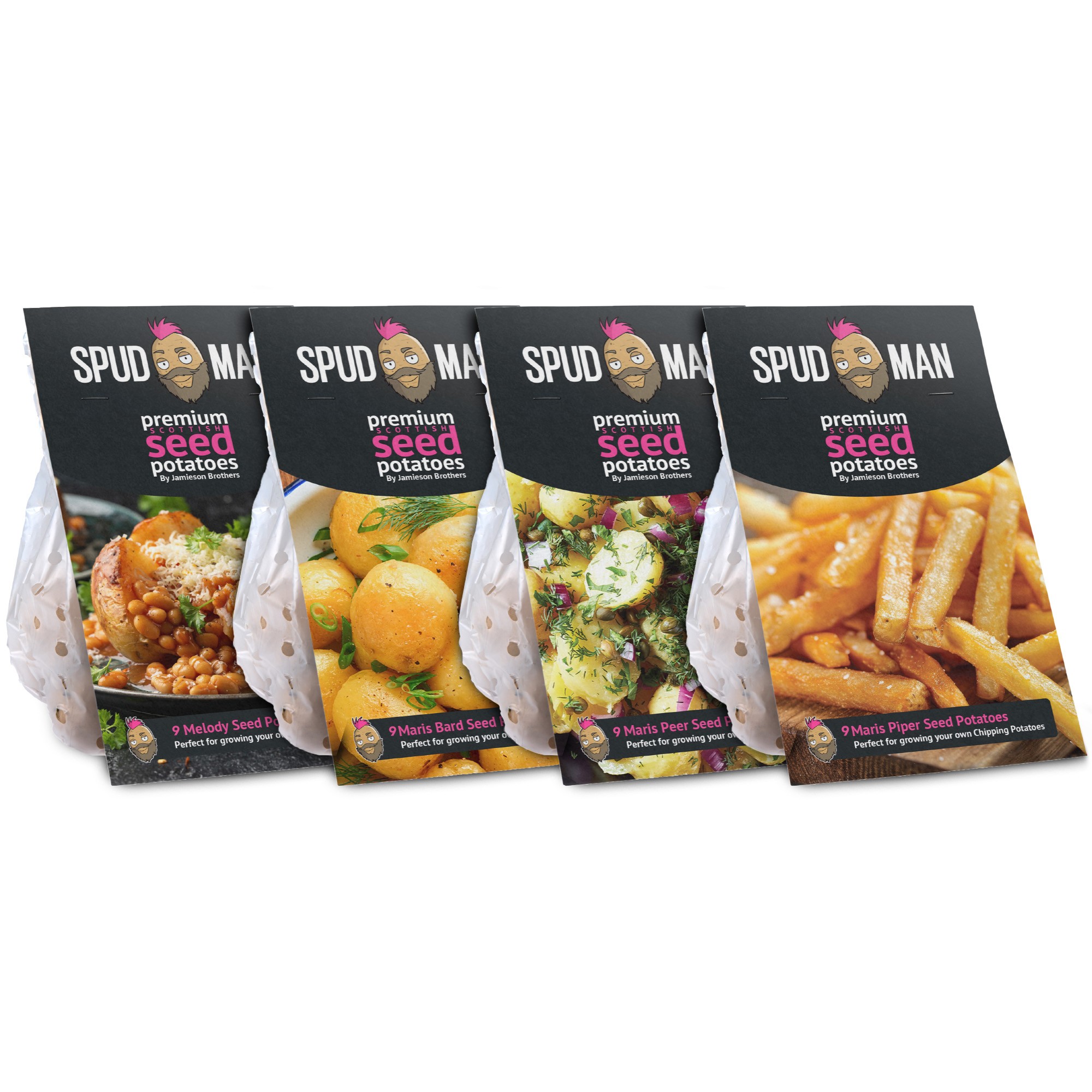 SpudMan 4-Variety Seed Potato Bundle | Grow Melody to Maris Piper