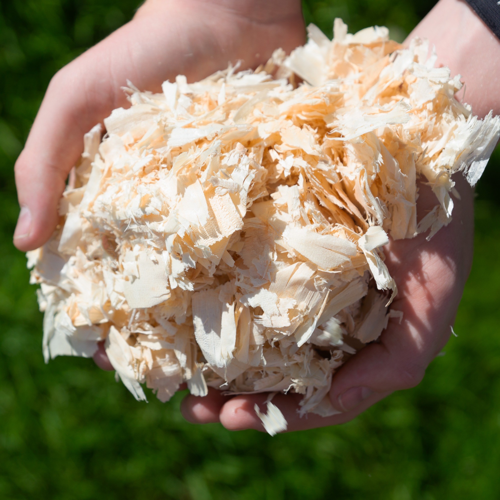 Shavings Bale Dust Extracted for Horses, Rabbits, Guinea Pigs, Poultry ...