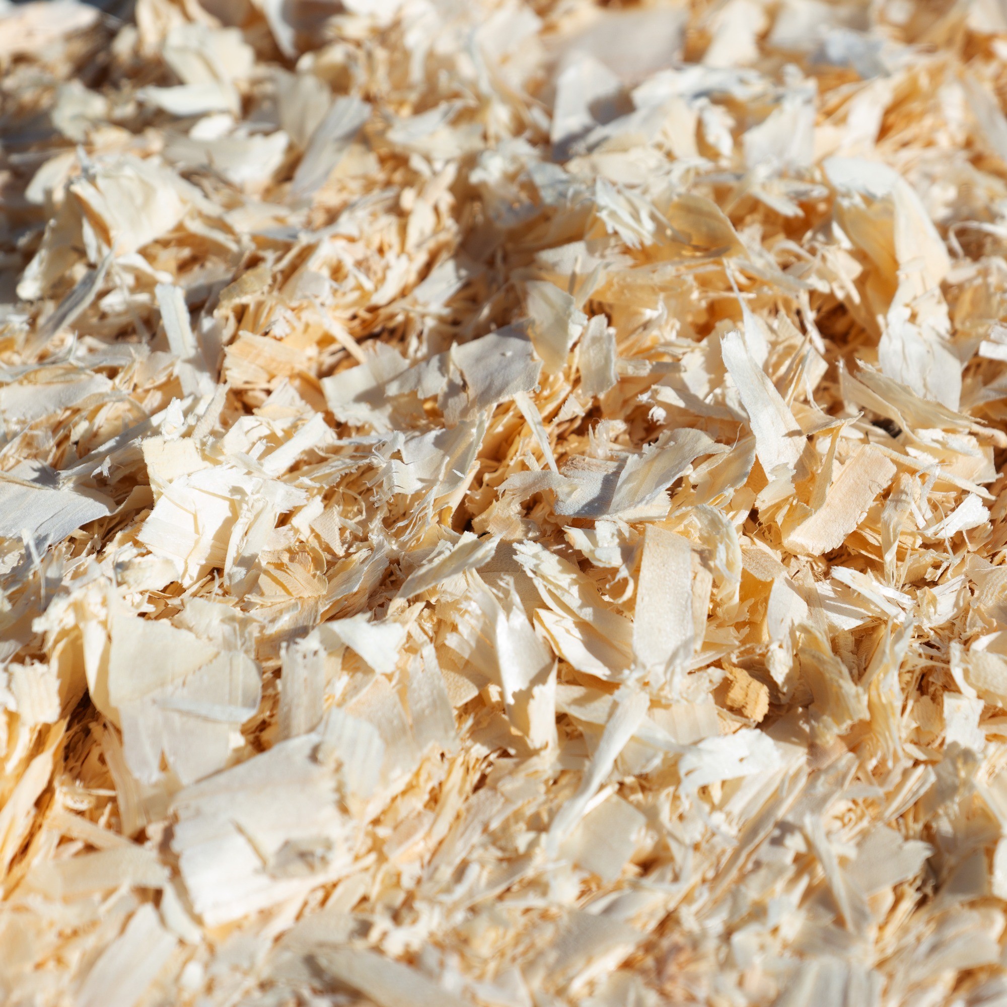 Shavings Bale Dust Extracted for Horses, Rabbits, Guinea Pigs, Poultry ...