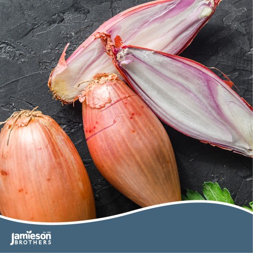 Jamieson Brothers® Red Sun Shallot Sets
