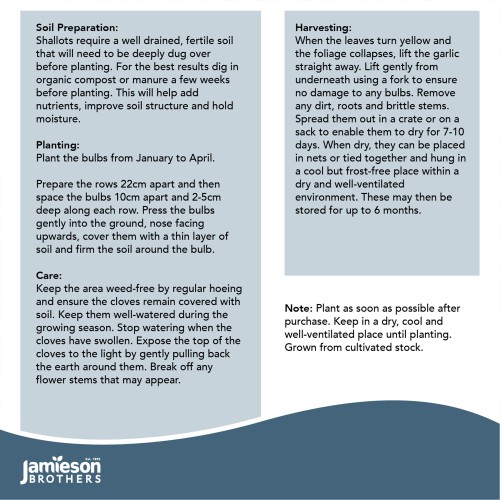 Jamieson Brothers® Red Sun Shallot Sets