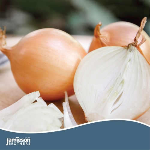 Twin pack of Centurion and Red Baron onion sets (2 x20 bulbs)