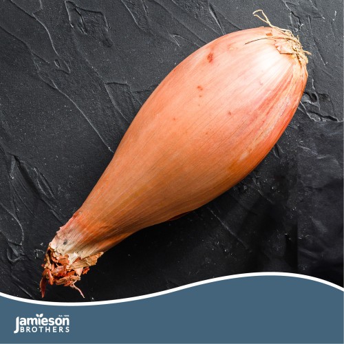 Jamieson Brothers® Red Sun Shallot Sets