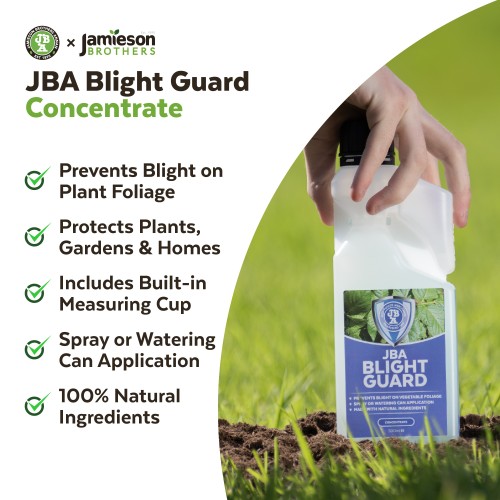JBA Blight Guard for the prevention of foliar blight in tomatoes and ...