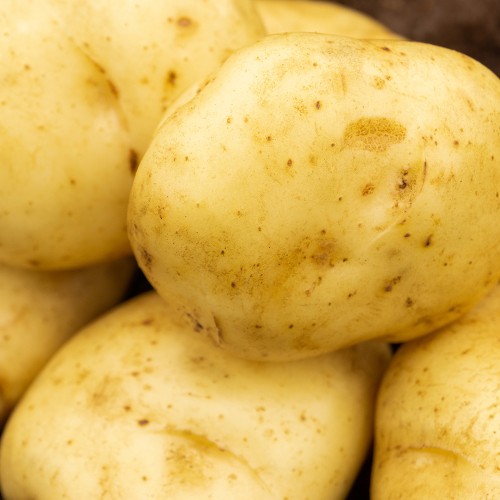British Queen Seed Potatoes - 20KG