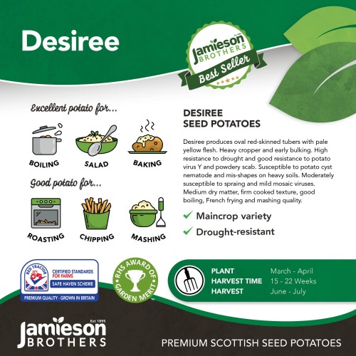 Desiree Seed Potatoes