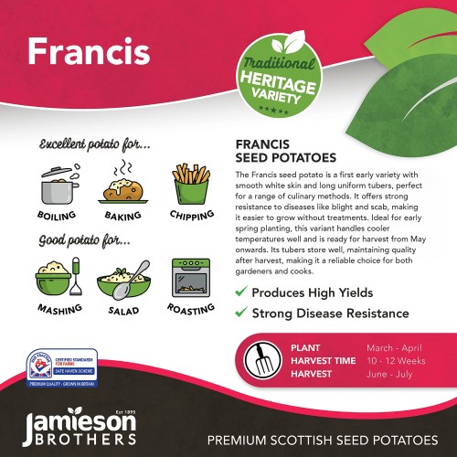 Francs Seed Potatoes 2kg net Approx 20-25 tubers