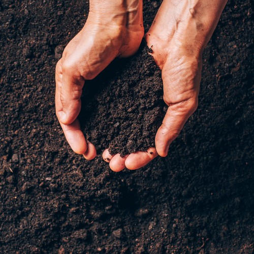 Multi Purpose Compost with added John Innes No. 2 – Pallet of 70 x 35L ...