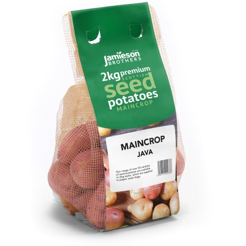 Java Seed Potatoes - 2KG net (approx 35 - 40 tubers)