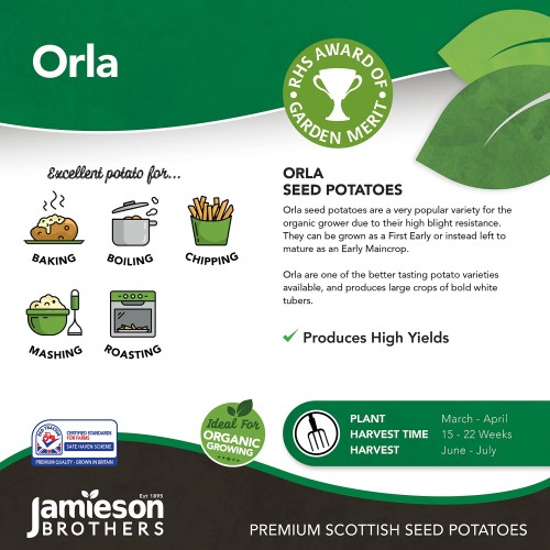Orla Seed Potatoes