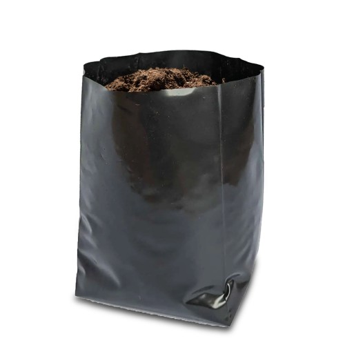 SpudMan Maris Piper Potatoes + Polypots & Compost Grow Kit