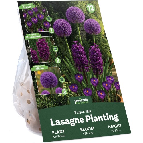Purple Spring Flowering Lasagne Bulb Kit with Alliums Hyacinths and Crocus
