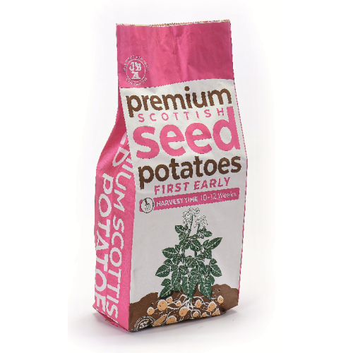 Rocket Seed Potatoes