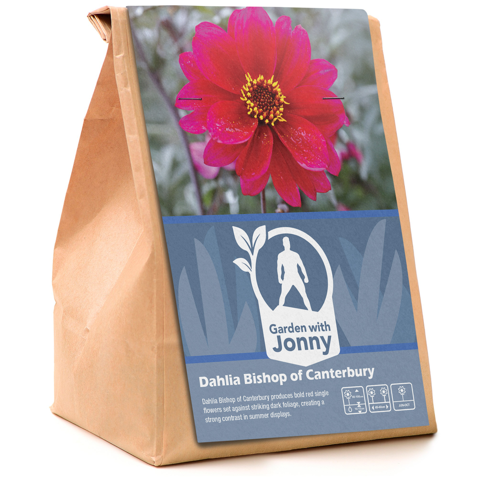 Dahlia Bishop of Canterbury Bulb for Planting | Rich Red Summer Flowers ...