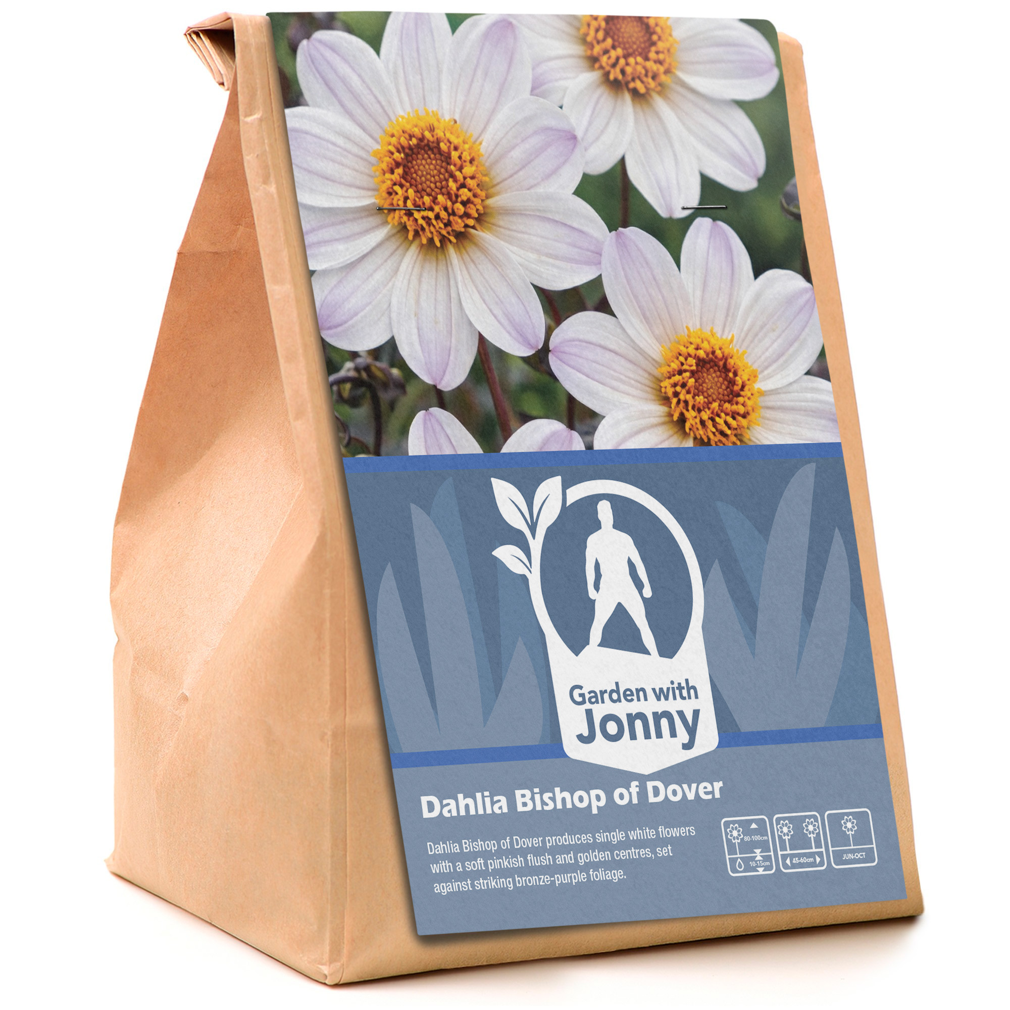 Dahlia Bishop of Dover Bulb for Planting | Rich Red Summer Flowers with ...